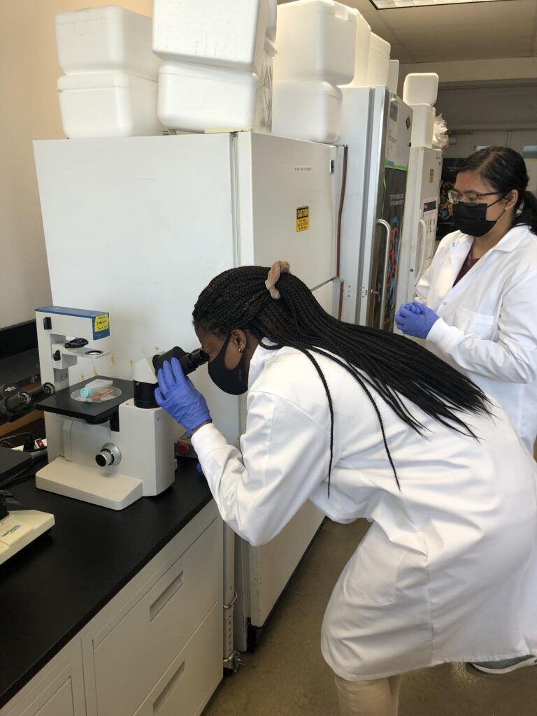 Our Scholars – Meyerhoff Scholars Program - UMBC